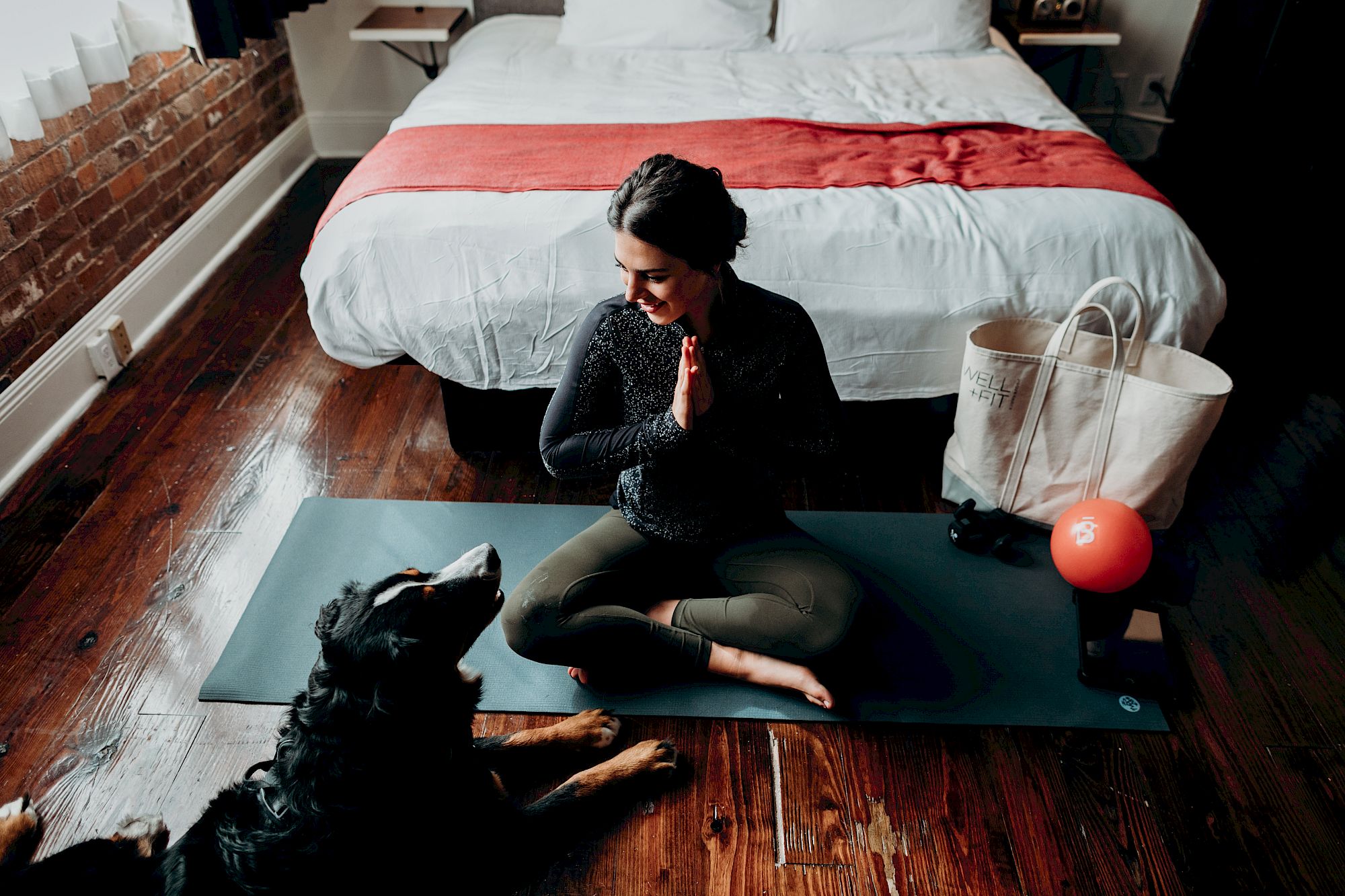 Pets | Pet-Friendly Hotel New Orleans| The Old No. 77 Hotel